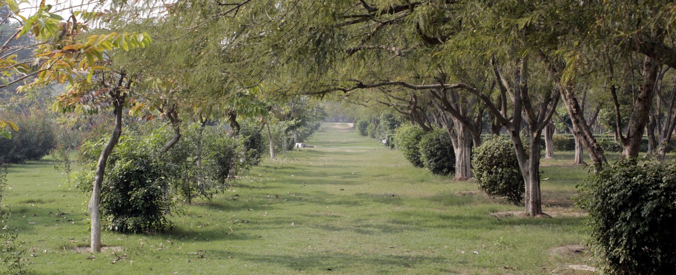 Visit Mehtab Bagh with Your Family
