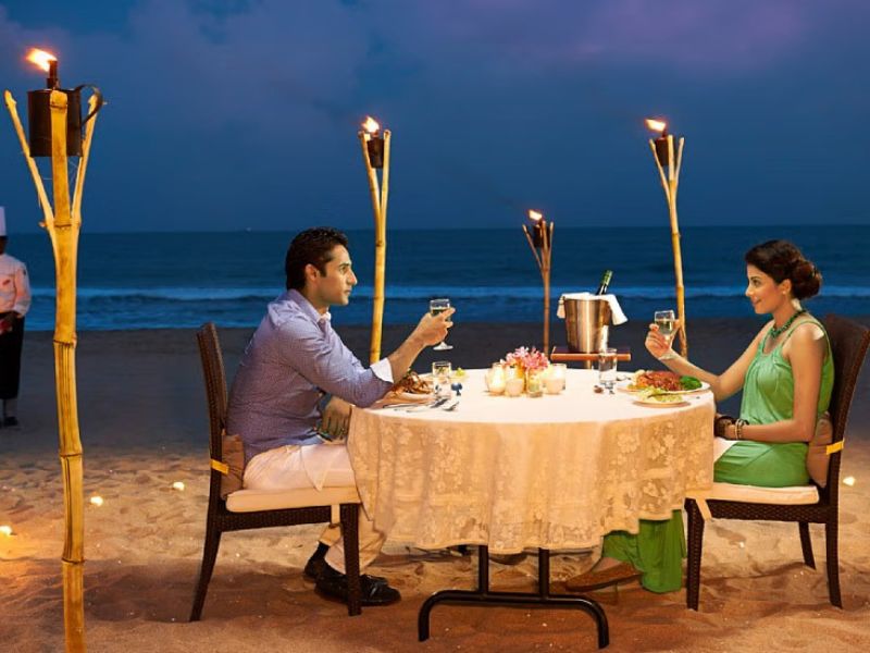 Experience Candle Light Dinner Bonfire Overlooking Dhauladhar Mountain ...