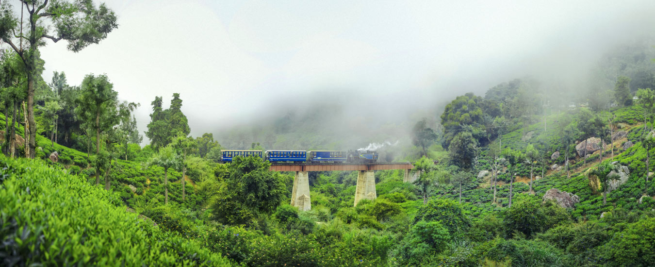 Experience Toy Train Ride Darjeeling With Your Family