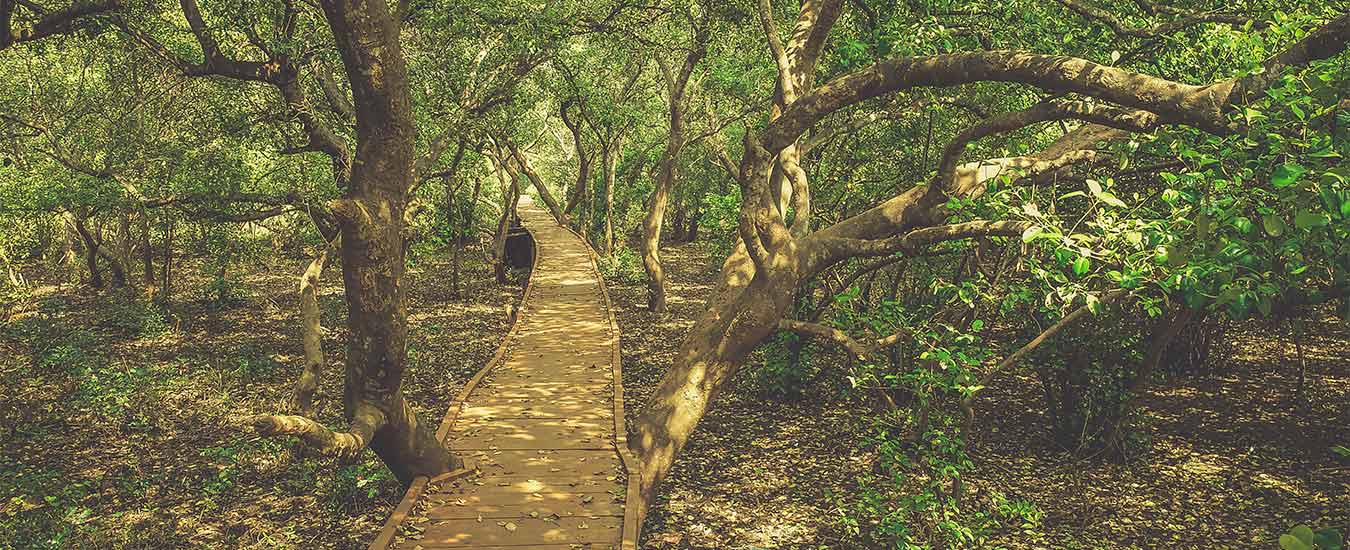 Dindi RVR, on the Godavari, A Club Mahindra Associate Resort
