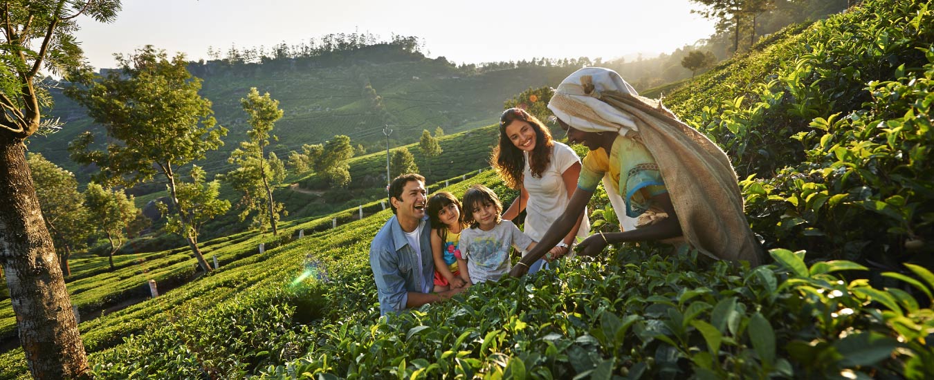 Go on a Spice Plantations Tour with Your Family