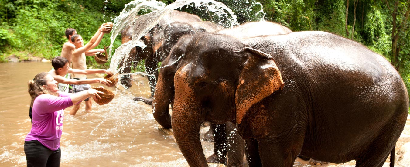 Explore Dubare Elephant Camps a Hidden Treasure In Coorg with Your Family